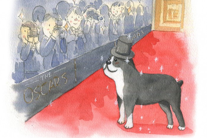 Boston Terrier : สุภาพบุรุษแห่งกรุงบอสตัน : Howl : Pet Story Magazine