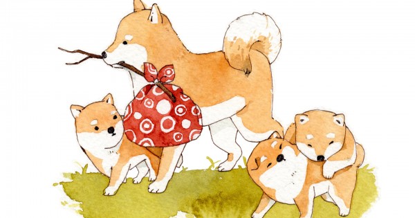 Shiba Inu : สายเลือดญี่ปุ่นผู้ยืนหยัดหลังสงคราม : Howl : Pet Story Magazine