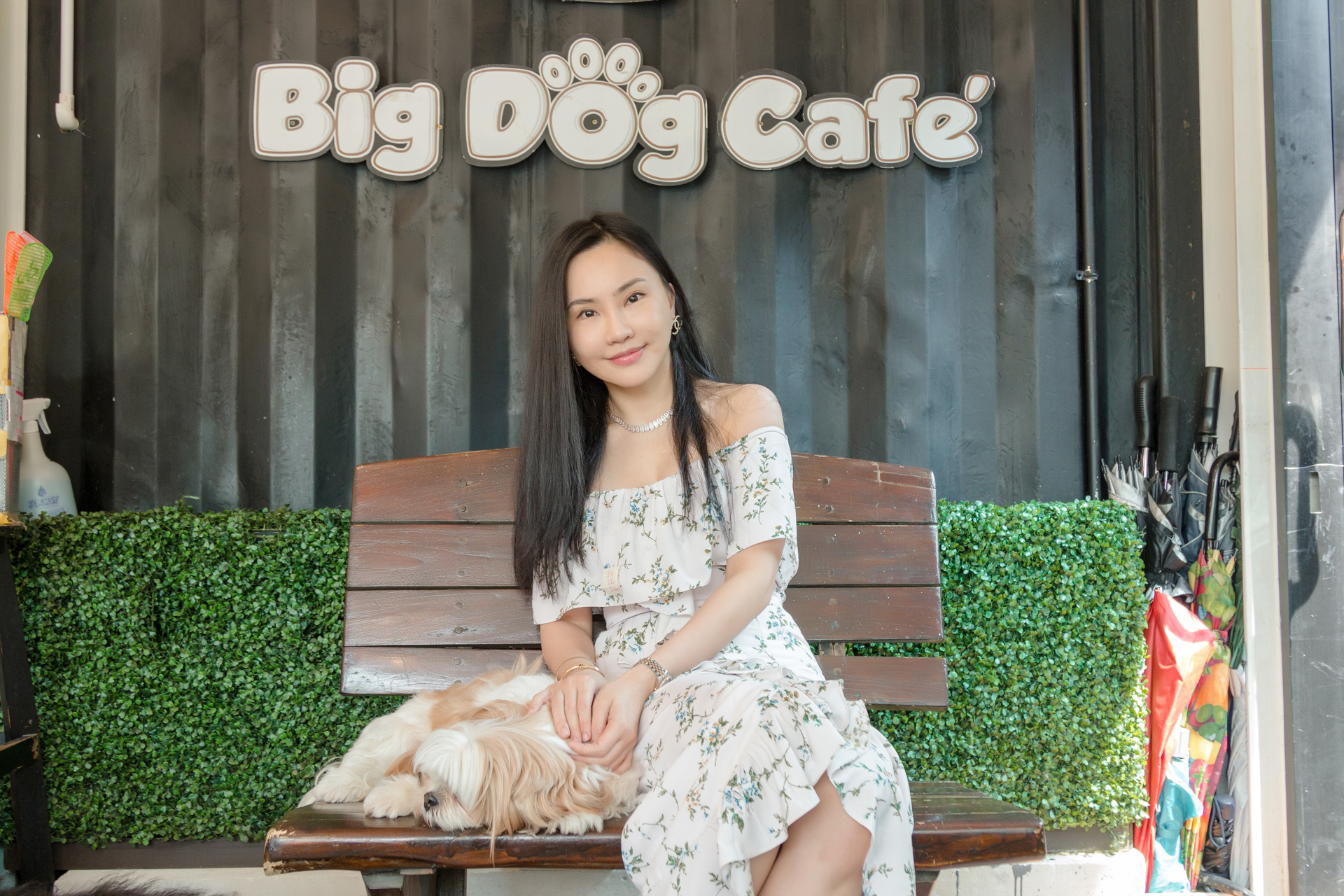 Big Dog Cafe : จากผู้ป่วยโรคซึมเศร้า สู่เจ้าของคาเฟ่หมาใหญ่ : Howl ...